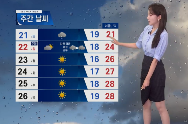 Current Weather in Halifax: Conditions and Forecast - Info Petite Nation