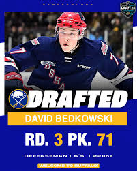 David Bedkowski: Champion of Community Initiatives - Info Petite Nation