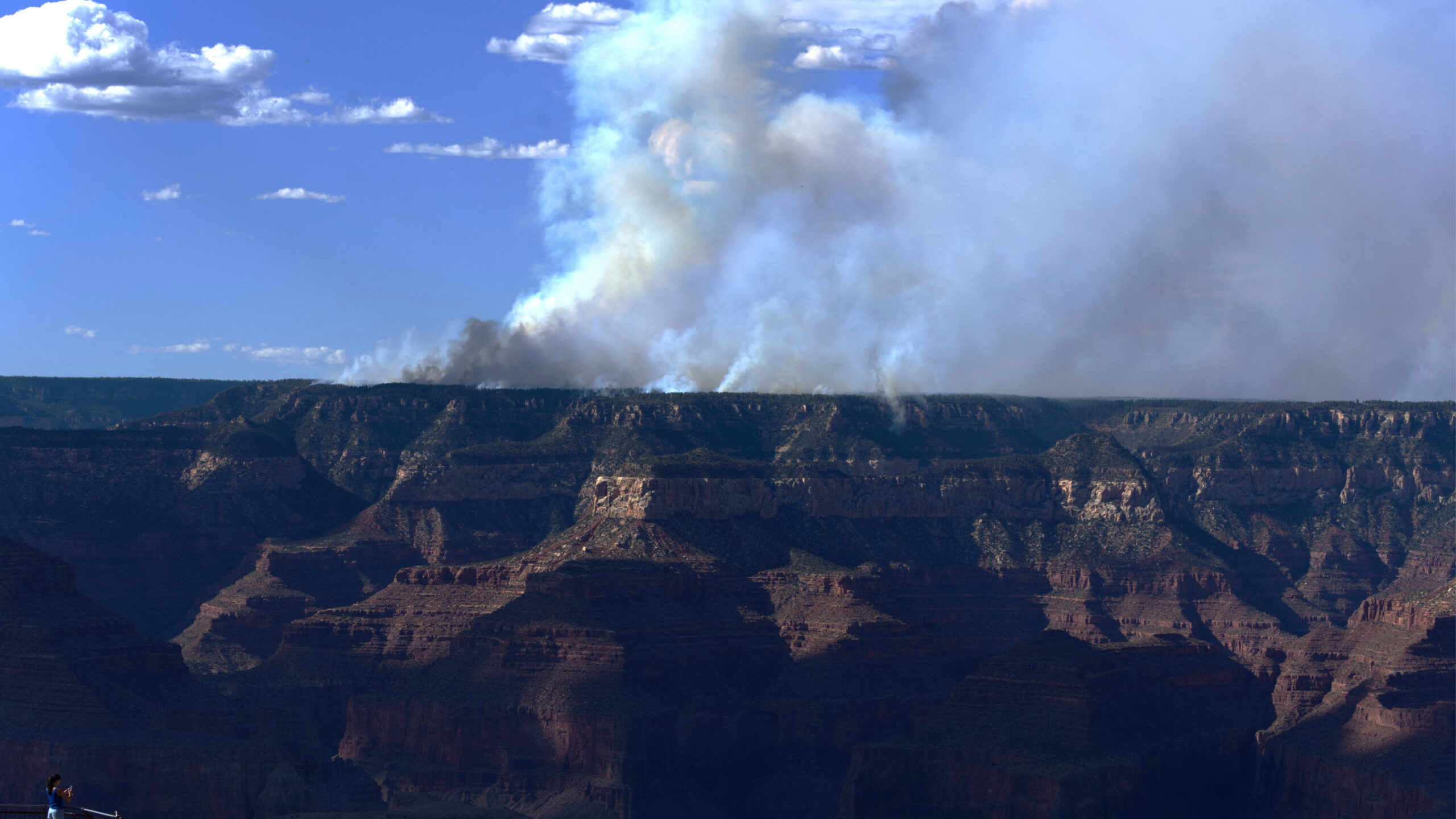 Lauren Boebert: A Look at Her Political Journey - Info Petite Nation