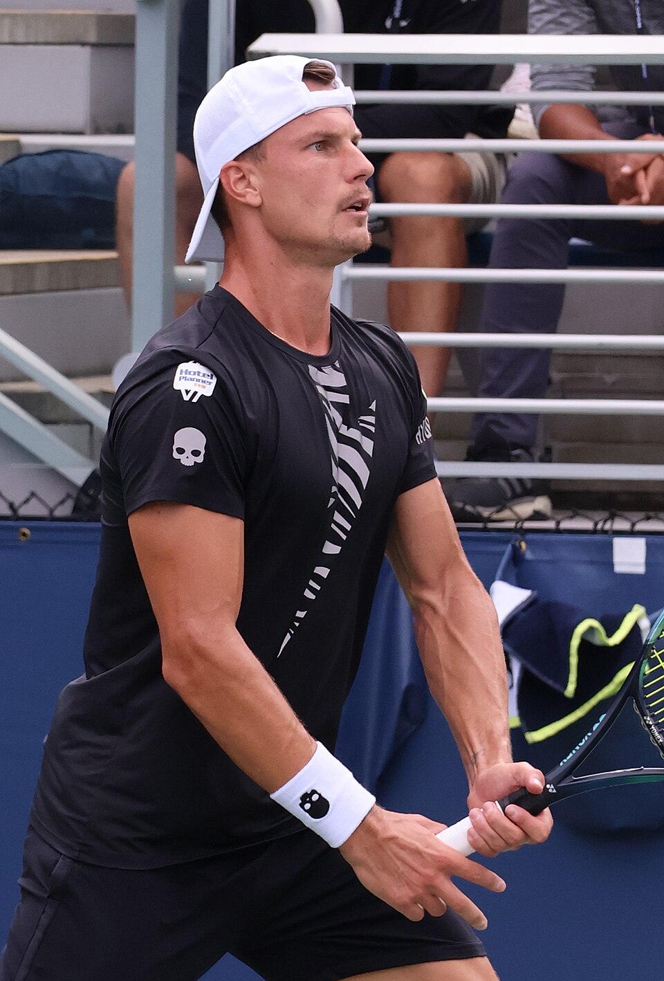Márton Fucsovics: The Rising Star of Tennis - Info Petite Nation