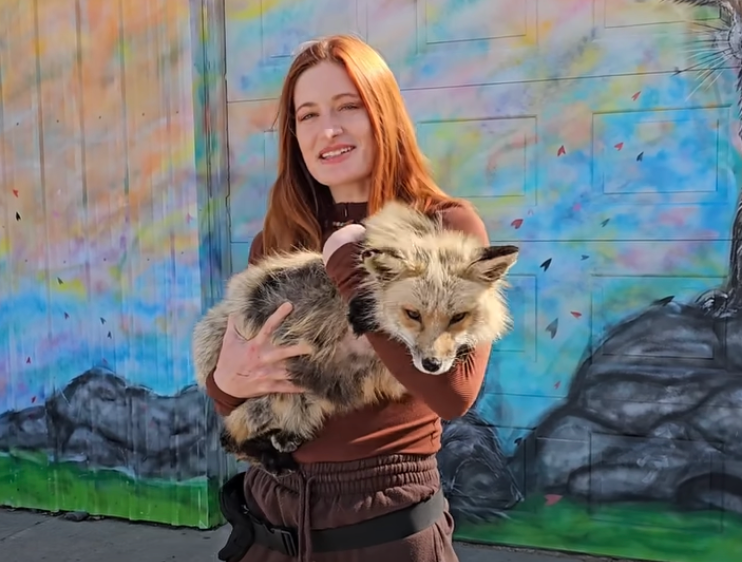 Mikayla Raines and the Save A Fox Initiative - Info Petite Nation