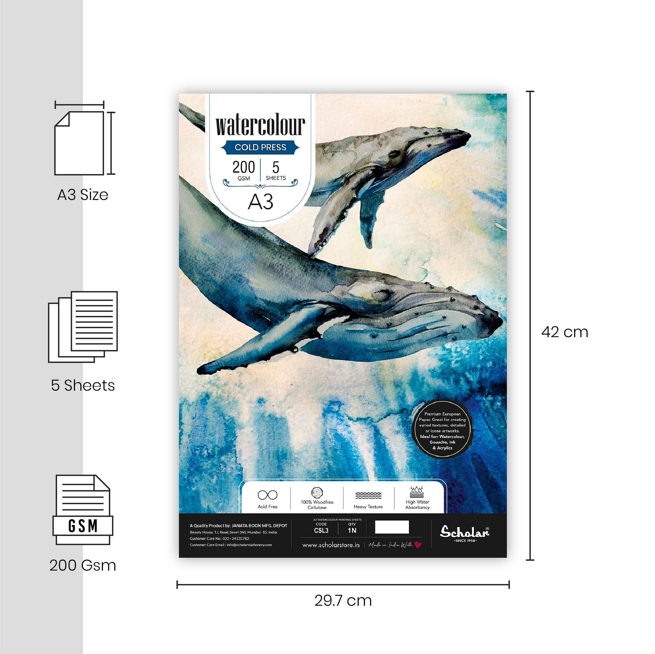 The Integral Role of Scholars in Modern Society - Info Petite Nation