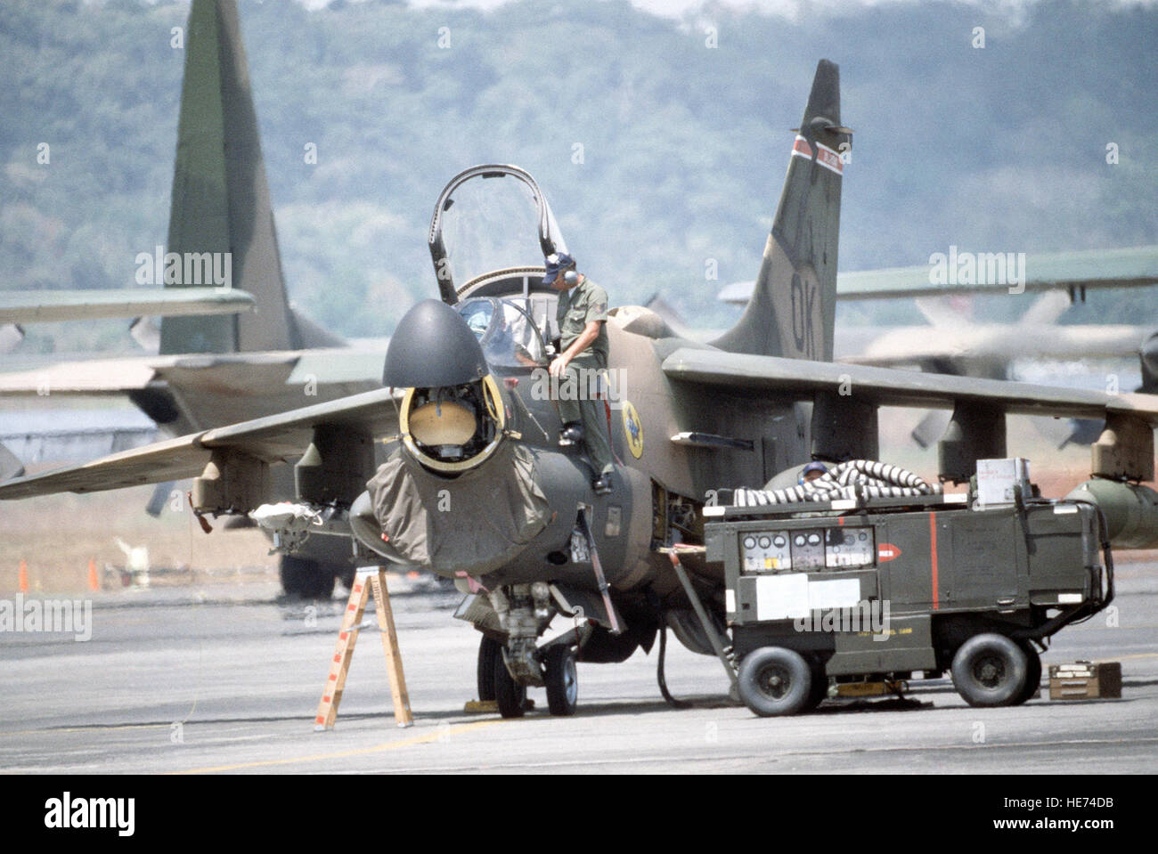 The Vital Importance of Liberty in Today's World - Info Petite Nation