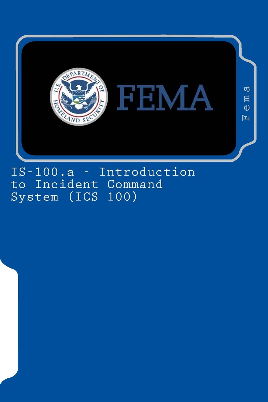 Understanding FEMA and Its Crucial Role in Disaster Response - Info ...