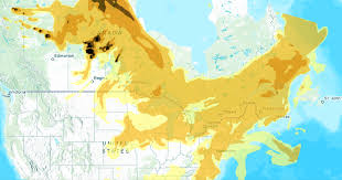 Understanding Power Outages: Causes and Impacts in Canada - Info Petite ...