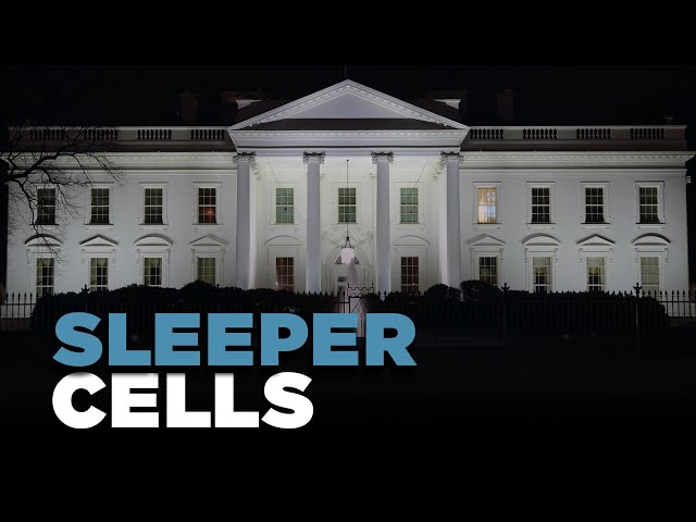 Understanding Sleeper Cells and Their Impact on Security - Info Petite ...