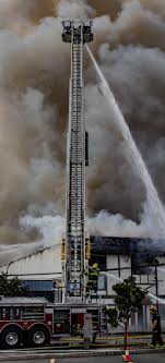 Understanding the Role of FBI International in Global Law Enforcement ...