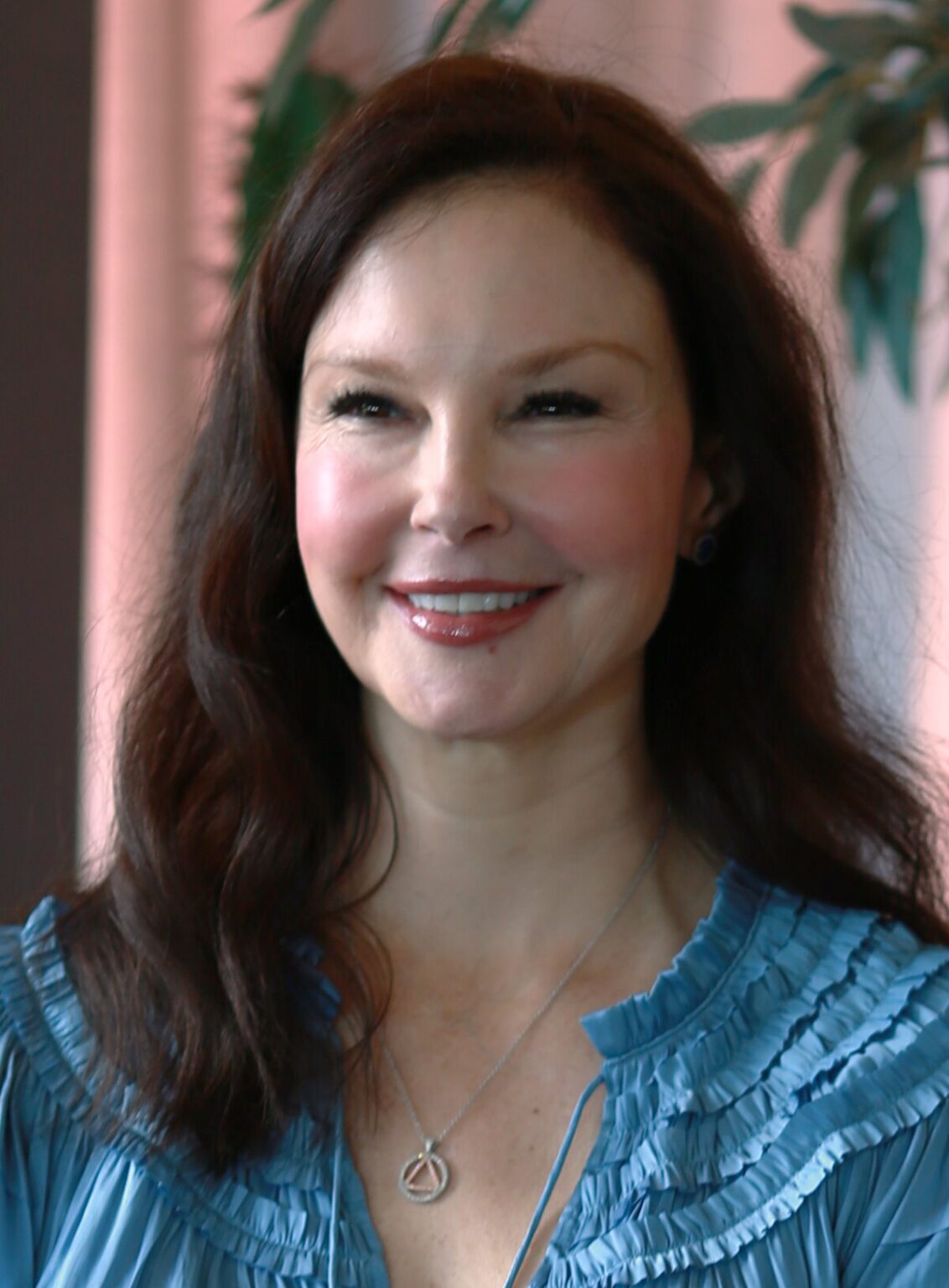 The Inspiring Journey of Ashley Judd: Actress and Activist - Info ...